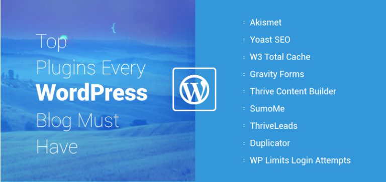 Learn the Plugins Every WordPress Blog Must Have | WP Development